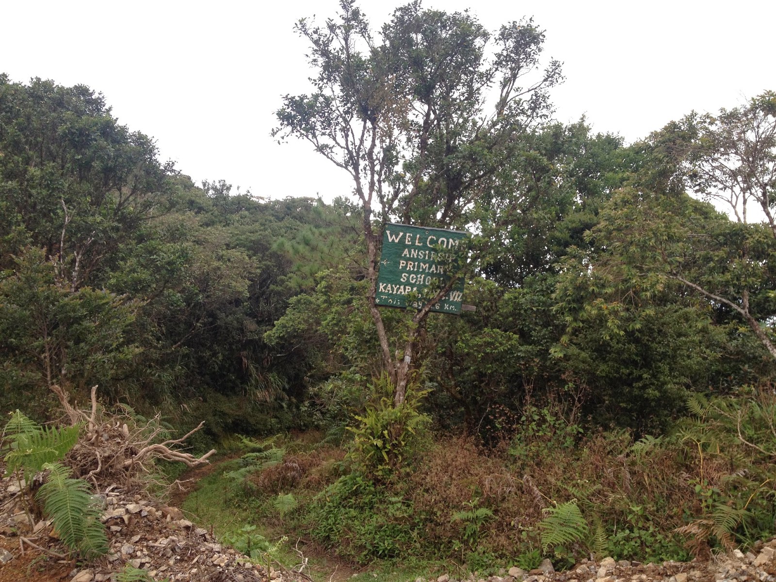 Skookum Mountaineers: Mt. Ugo / Mt. Ugu - Day 1 (Kayapa, Nueva Vizcaya ...